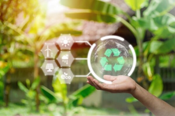 Everything you need to know About Sustainable Technology Innovations